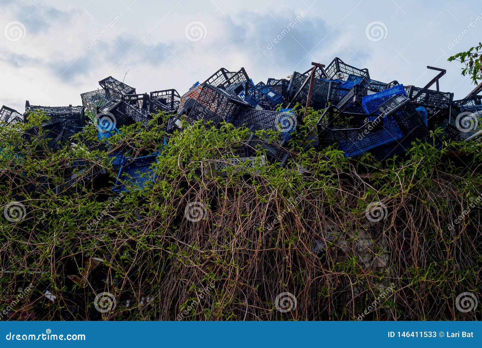 Plastic Boxes among Green Climbing Plants in a Landfill Stock Image ...