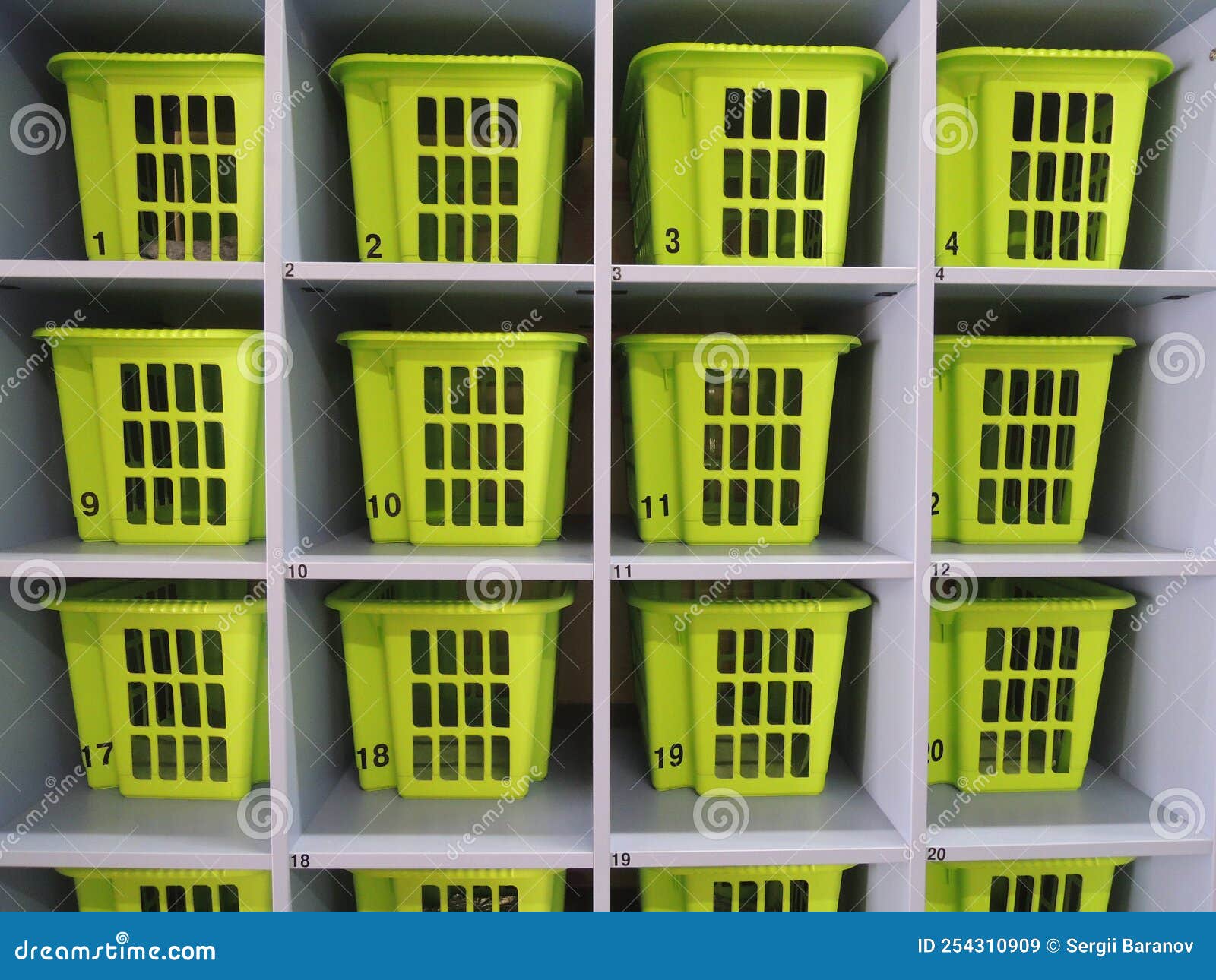 Numbered Plastic Boxes in Their Cells are Arranged in Order in Wooden ...