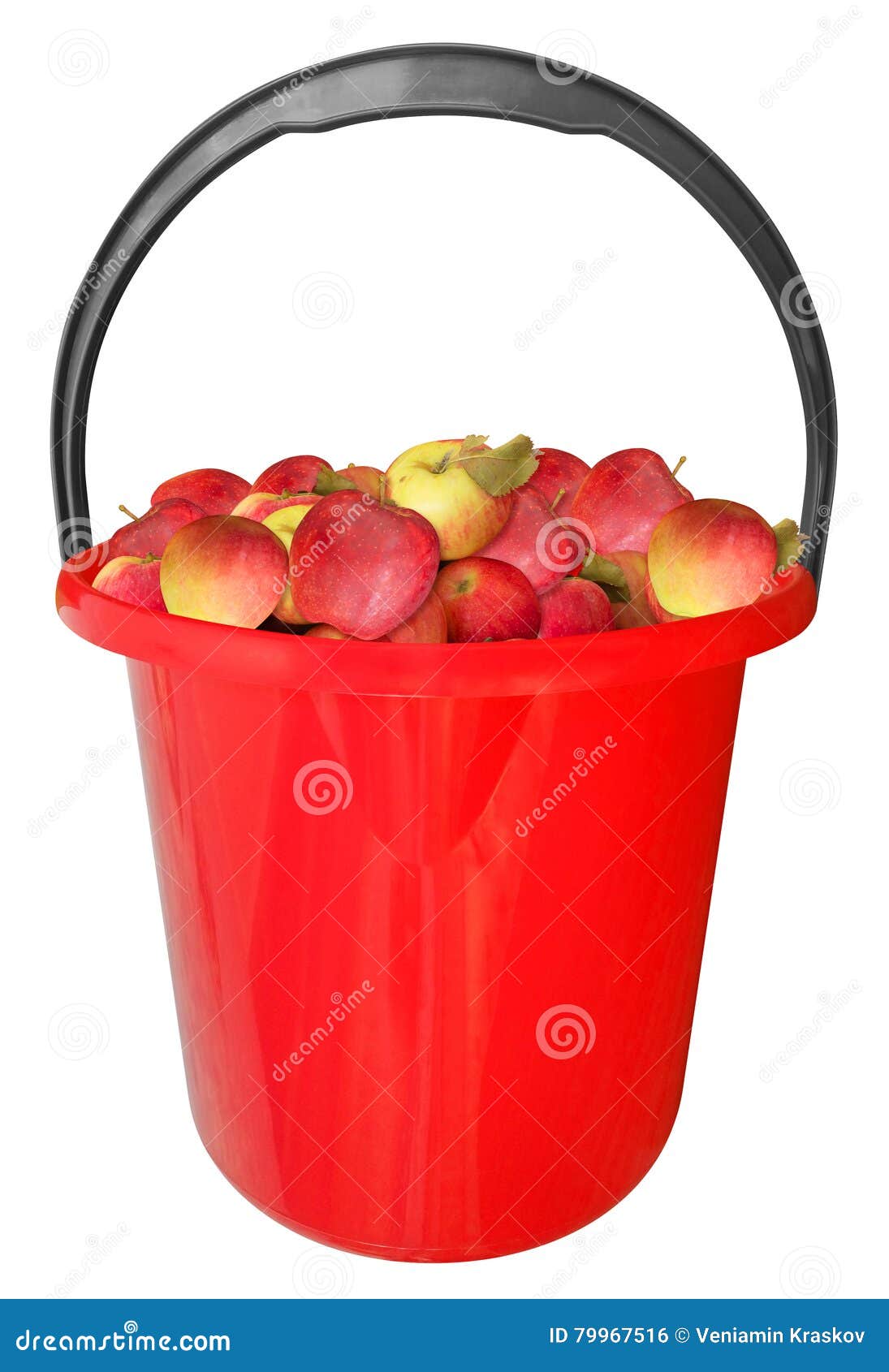 Plastic Bucket with Apples Isolated - Red Stock Photo - Image of ...