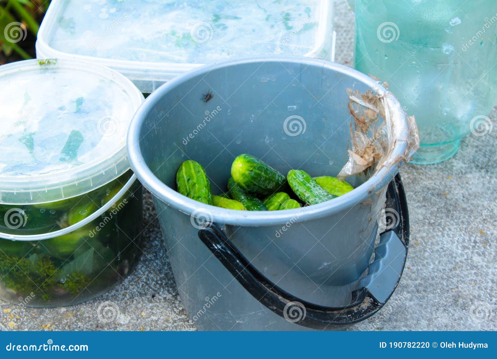 Plastic Bucket with Cucumbers Side View Stock Photo - Image of bucket ...