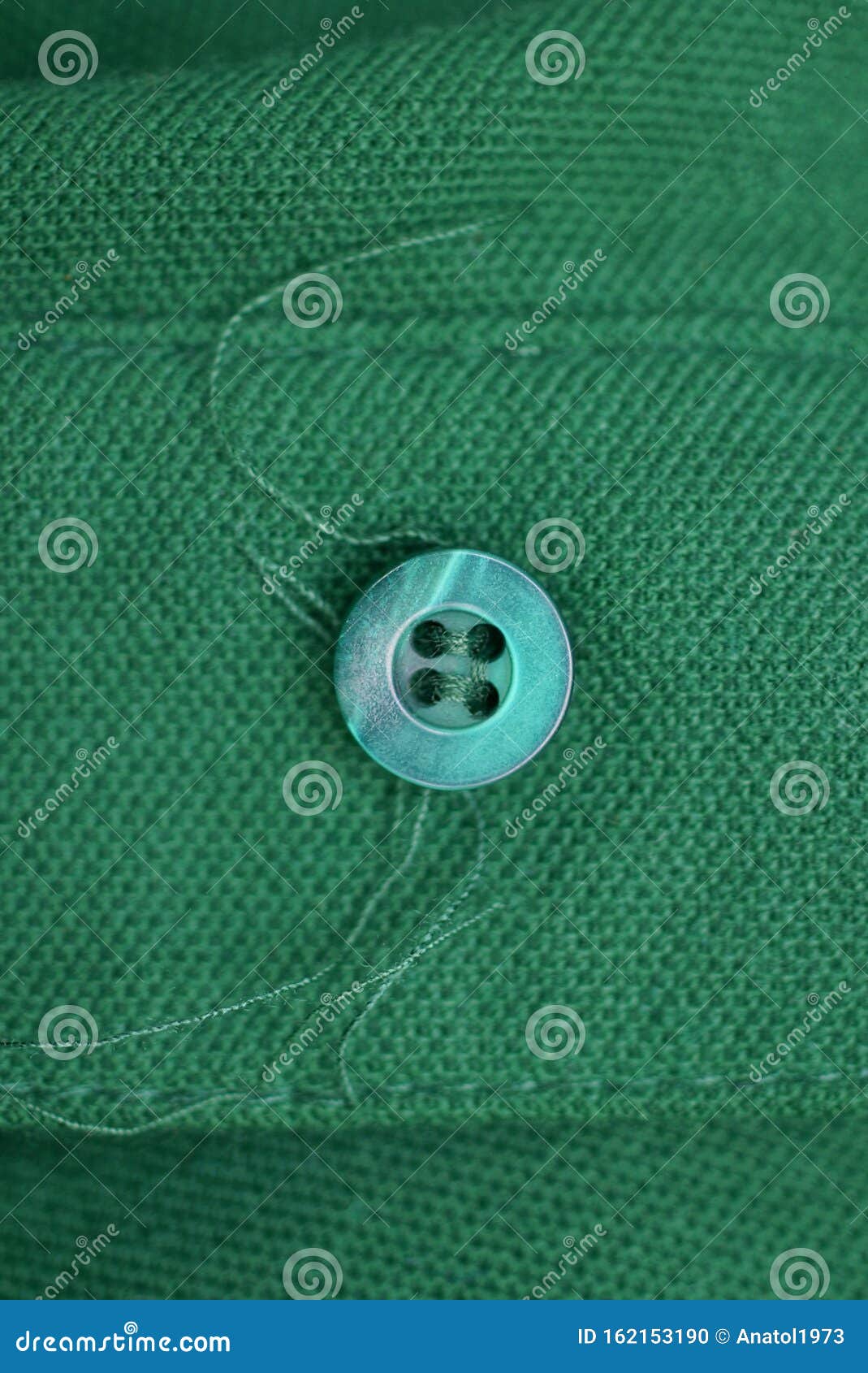 Plastic Button with Threads on a Green Cloth Stock Photo - Image of ...