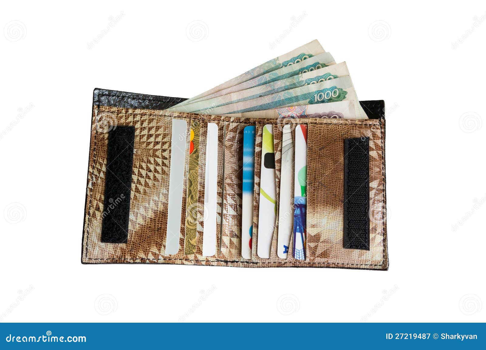 Plastic Cards and Money in Leather Wallet Stock Image - Image of ...