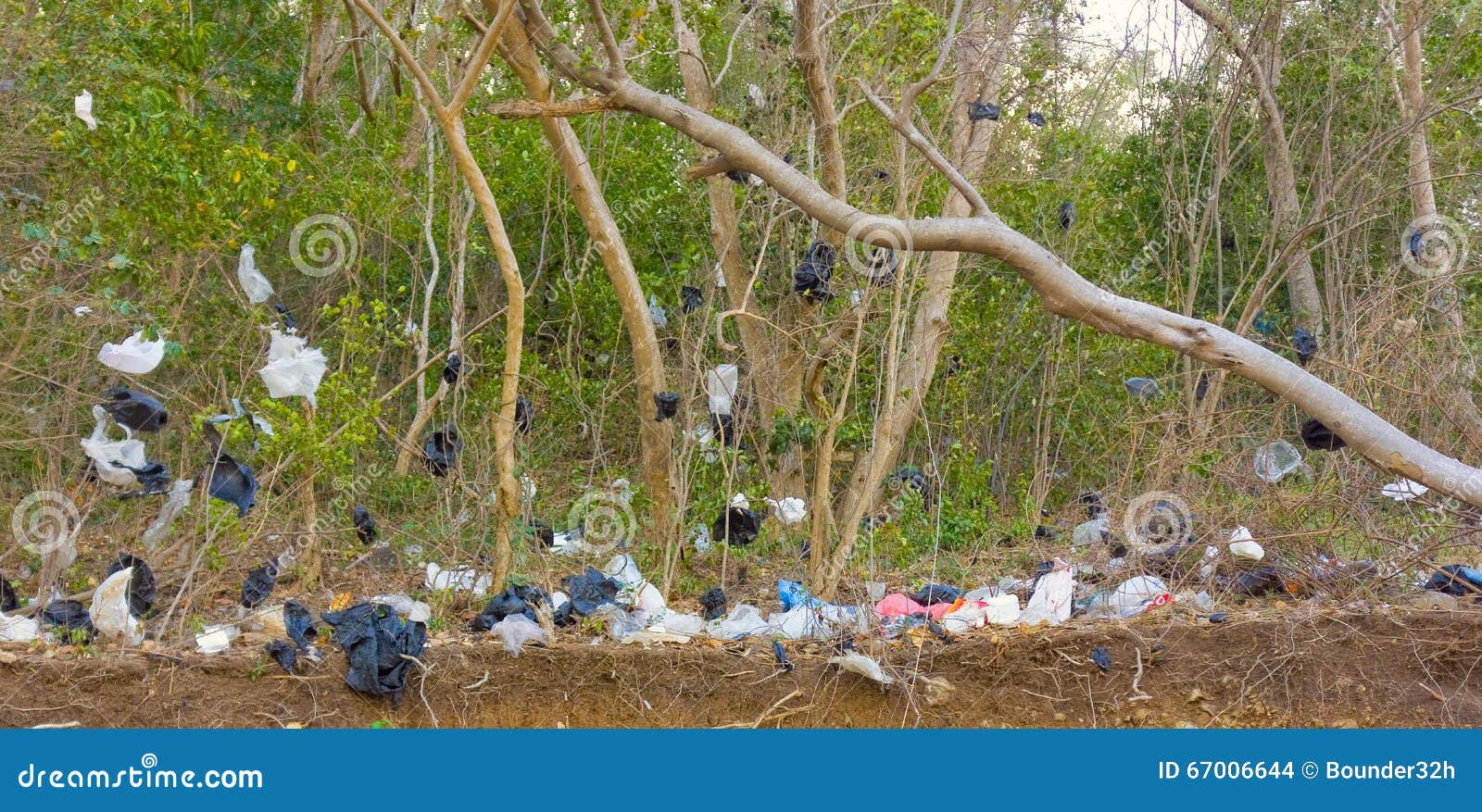 Plastic Caught in Trees at a Dump in the Windward Islands Stock Photo ...