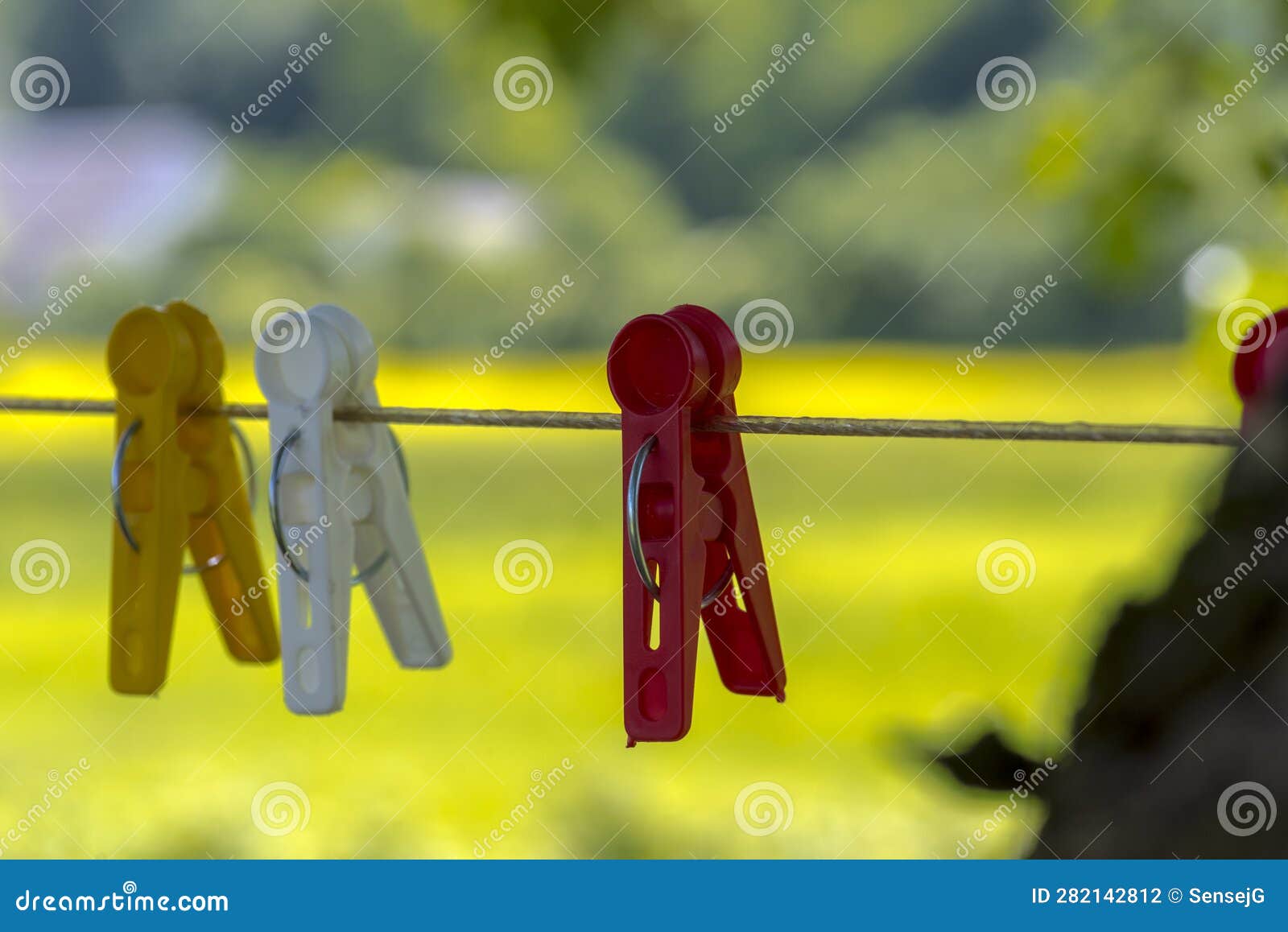 Clothes Pegs Hanging on a Line for Drying Laundry. Stock Photo - Image ...