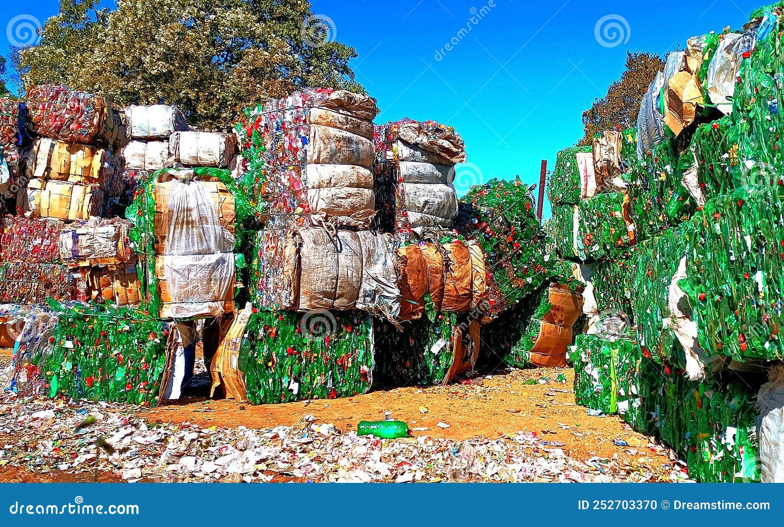 Plastic Compacted Recycling Stock Photo - Image of plastic, bottles ...