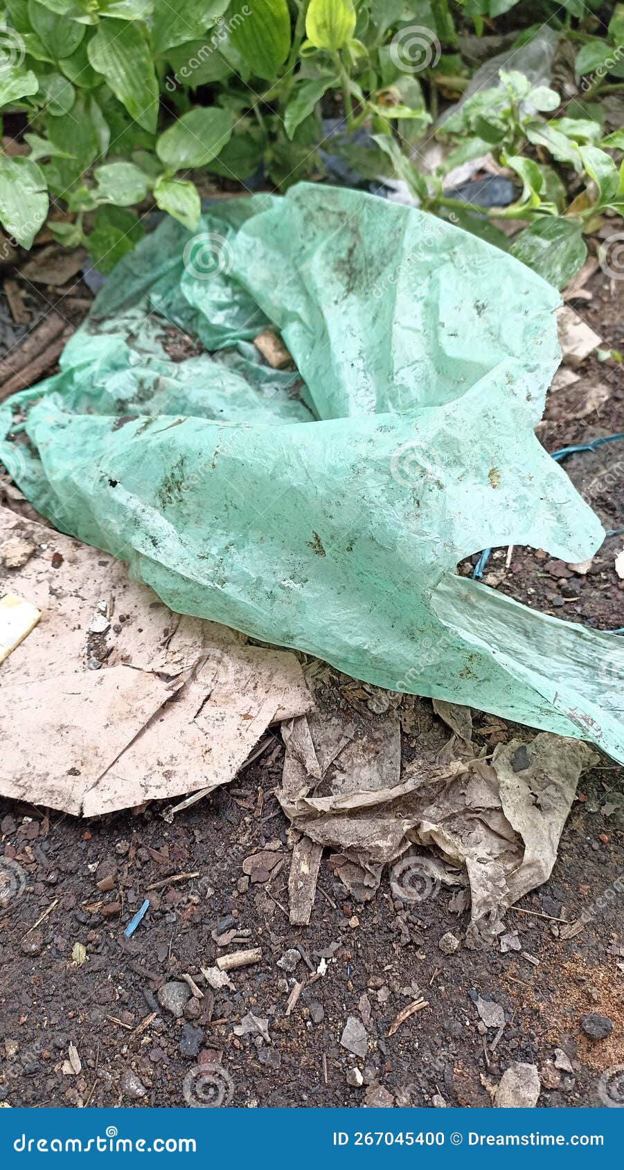 Plastic Container Waste that is Difficult To Decompose and Can Pollute ...