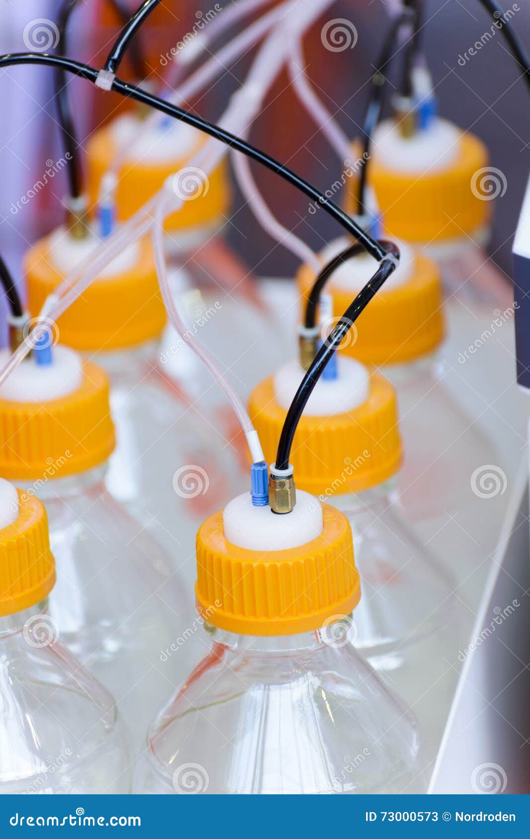 Plastic Containers with Members of Their Thin Tubes. Stock Image ...