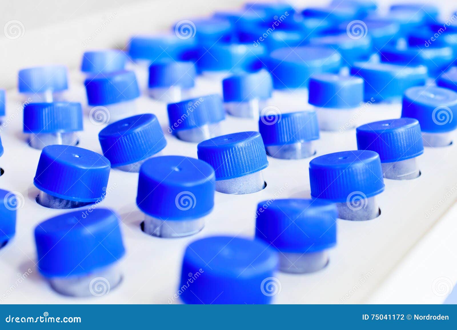 Plastic Containers for Samples Stock Photo - Image of container ...