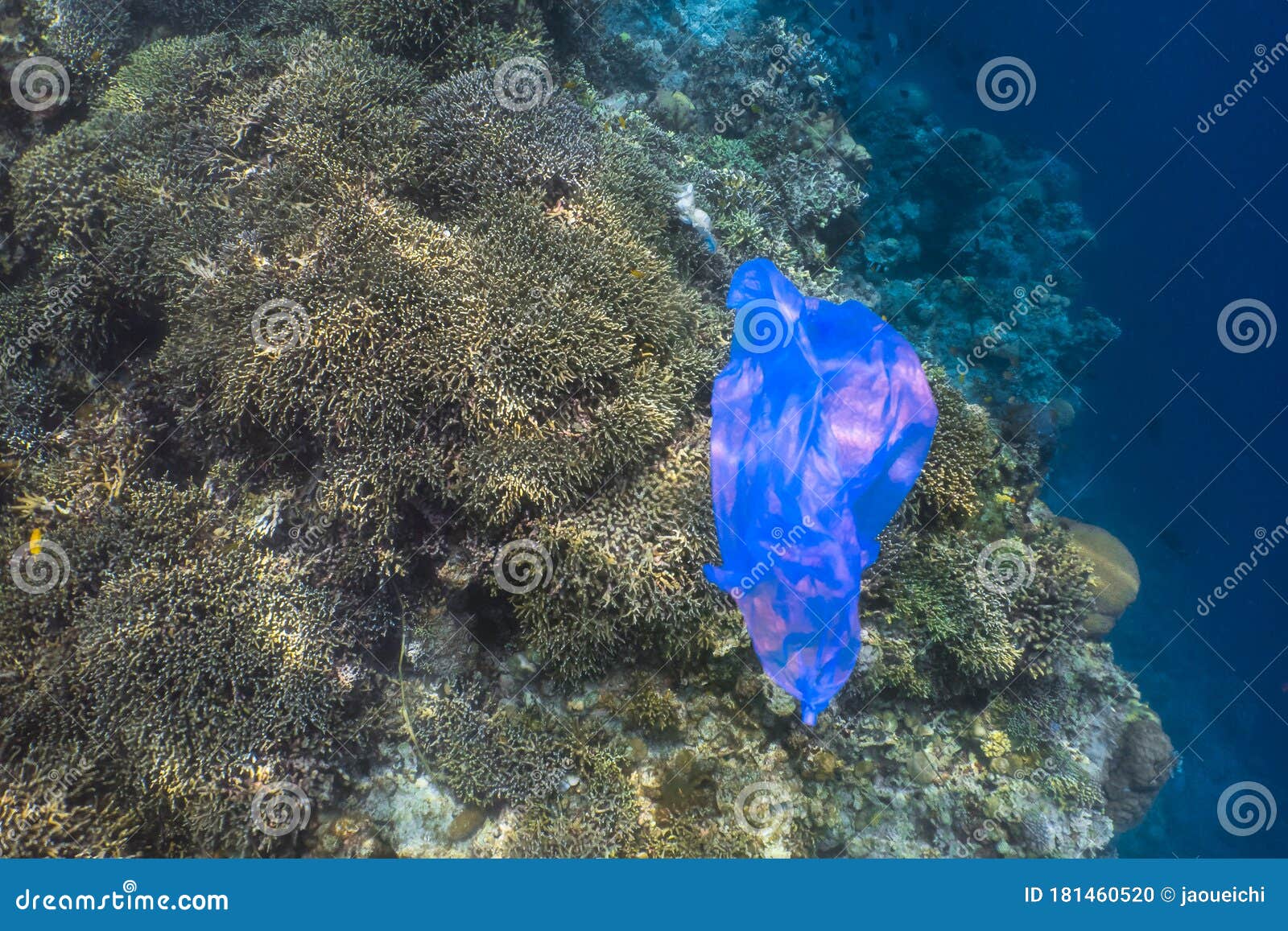 Single-use Plastic in a Shallow Reef. Plastic is a Major Contributor of ...