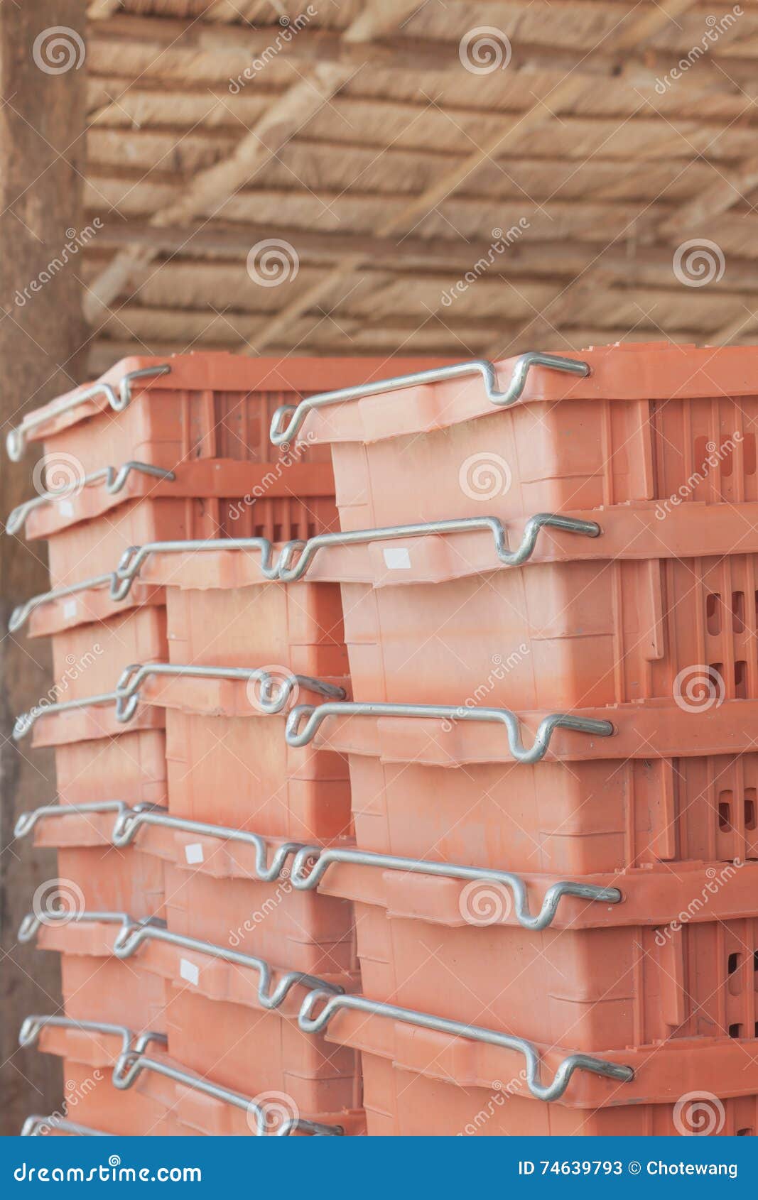 Plastic Crates of Agricultural Farm Stock Image - Image of empty ...