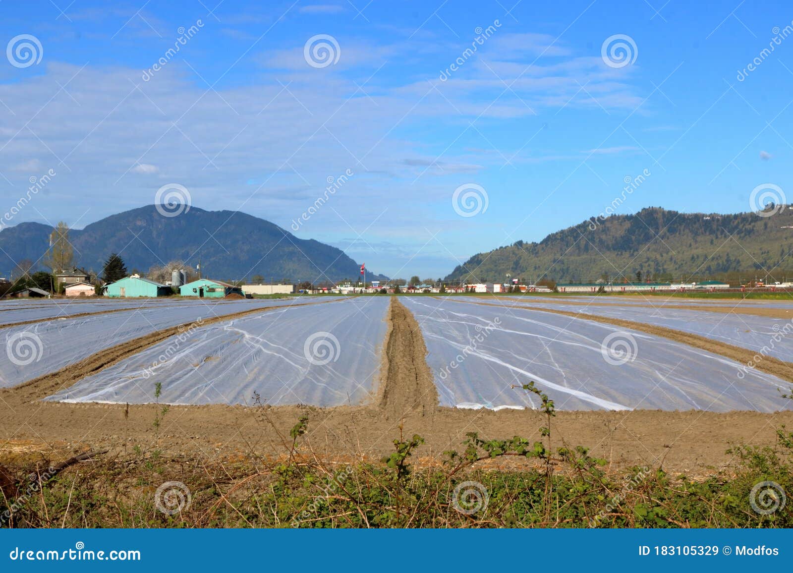 Plastic for Crops and Seed stock image. Image of cover - 183105329