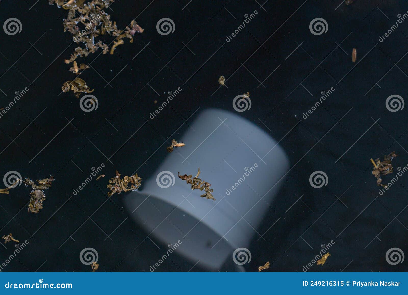 Plastic Cup Container Inside Water Body. Stock Image - Image of aquatic ...