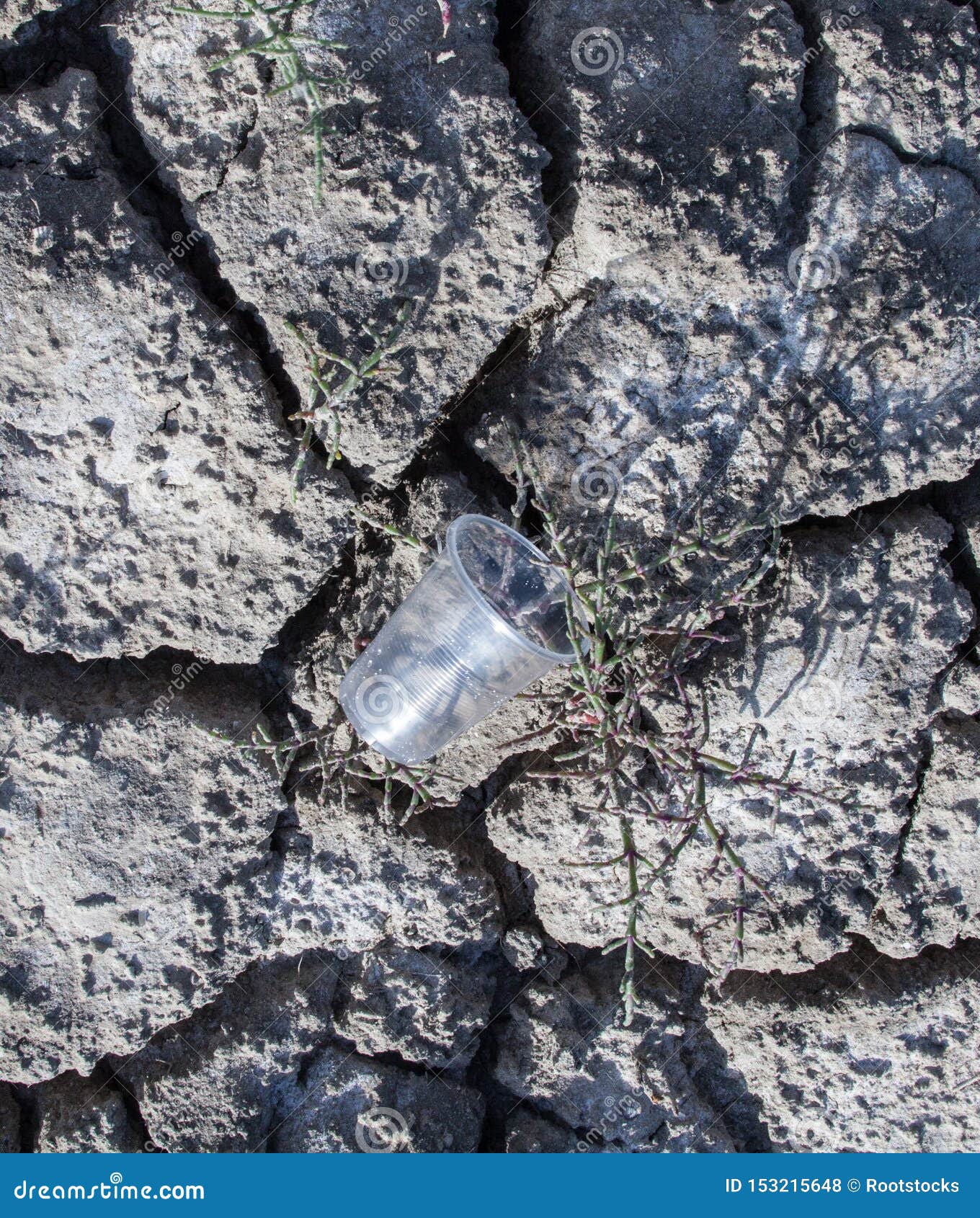 Plastic cup on the ground stock photo. Image of outdoors - 153215648