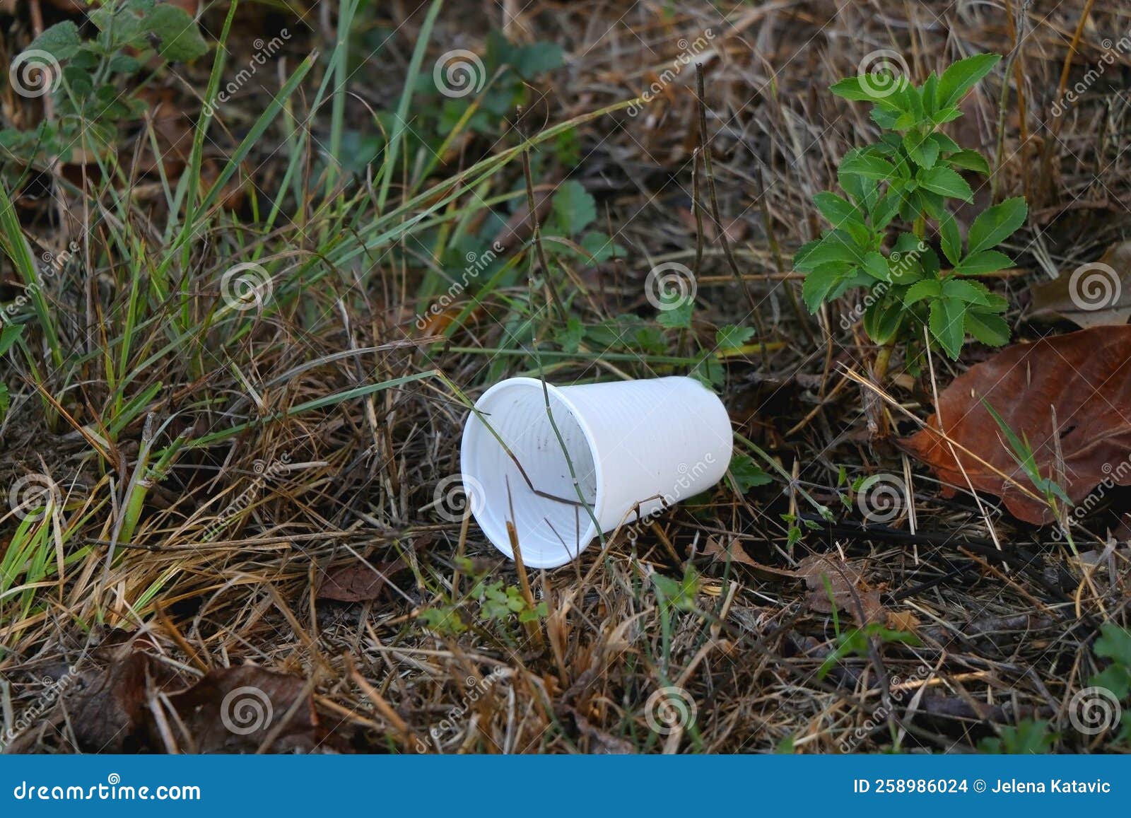 Plastic Litter stock photo. Image of focus, disposable - 258986024