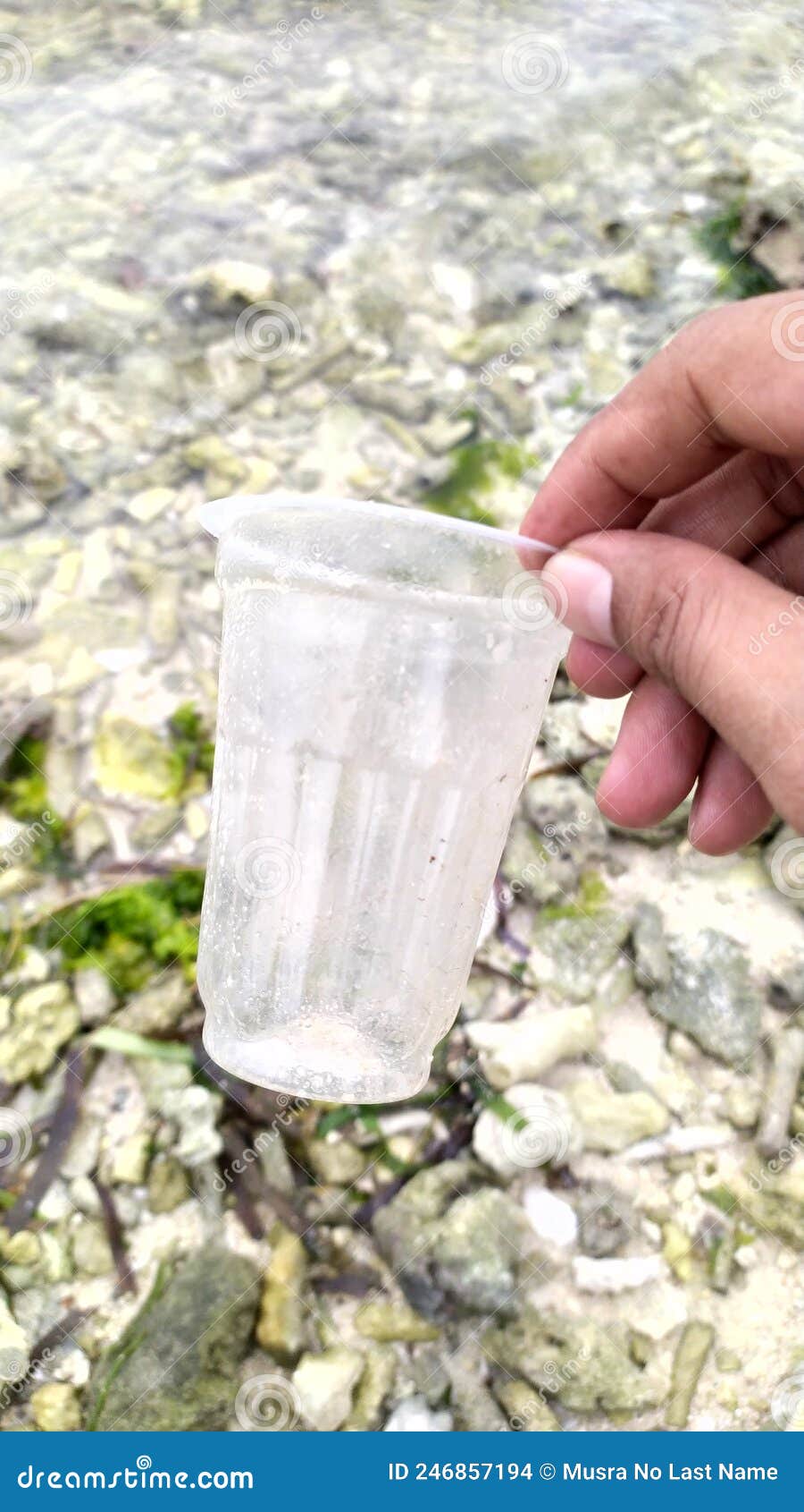 Plastic Cup Trash on the Beach Stock Photo - Image of flower, garden ...