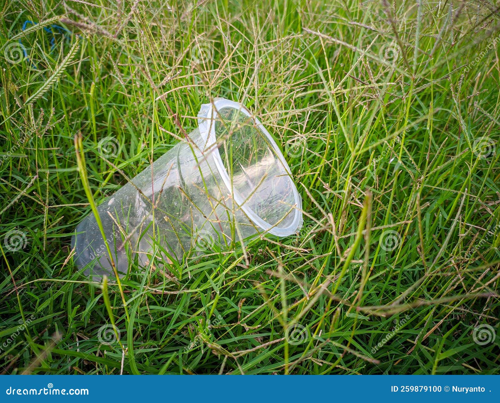 Plastic Cup Trash On The Grass. Stock Photography | CartoonDealer.com ...