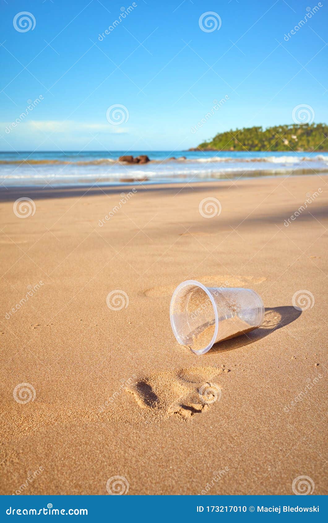 Plastic Cup on a Tropical Beach Stock Photo - Image of drink, outdoor ...