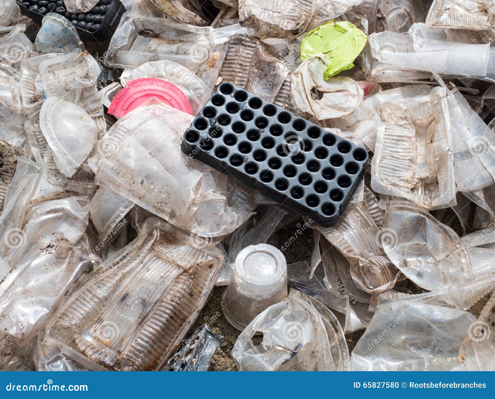 Plastic Cups and Containers Prepared for Recycling Stock Photo - Image ...