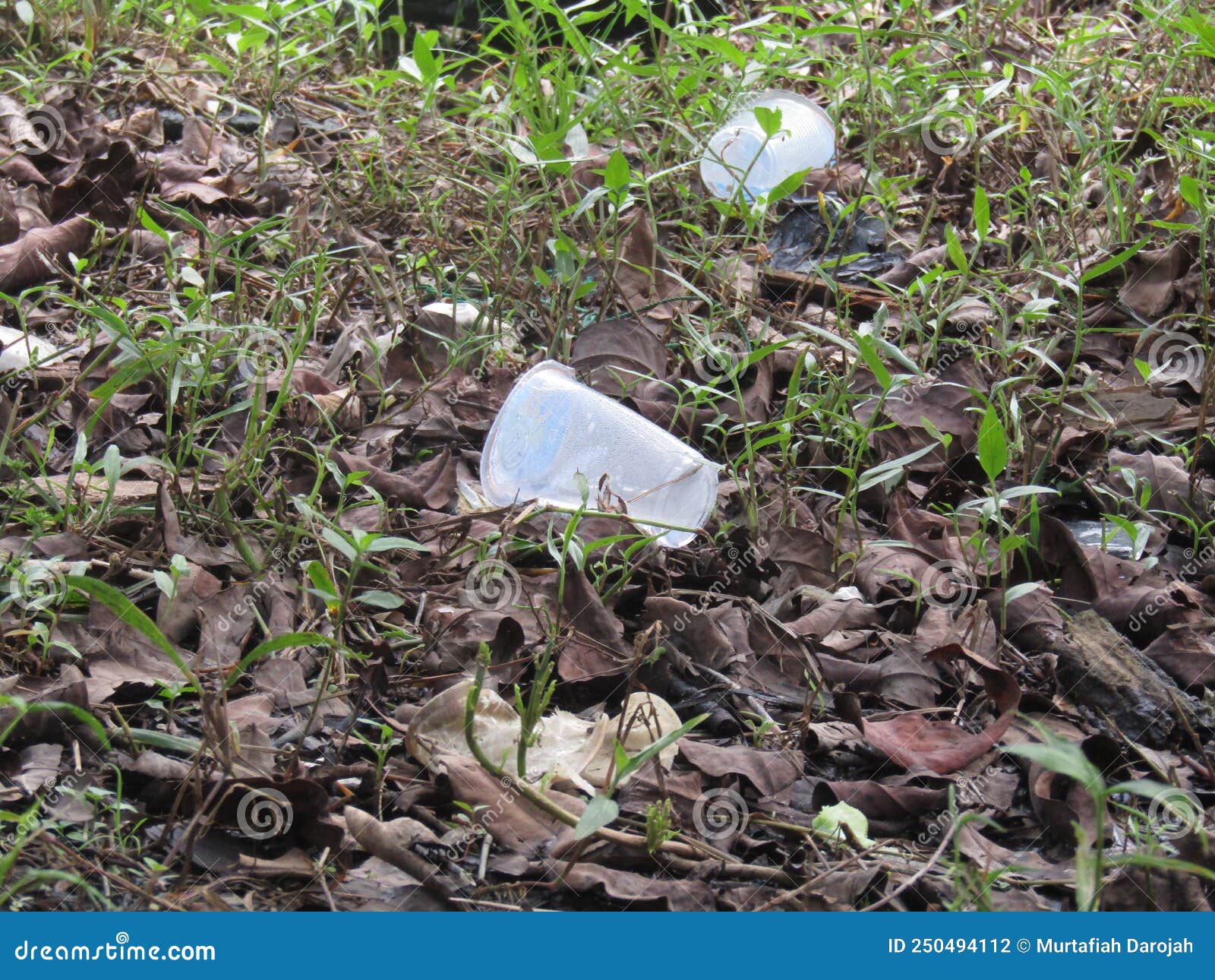 Plastic cup trash stock photo. Image of trash, ground - 250494112