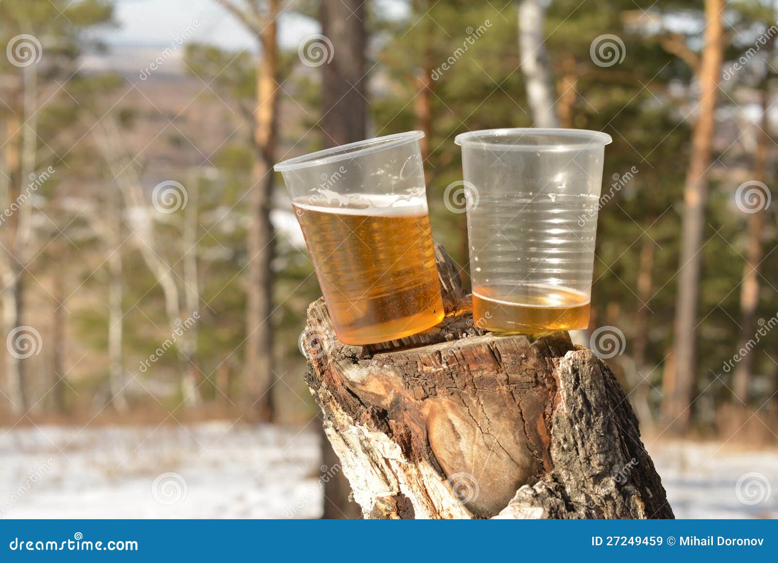 Plastic Cups Tree Stump Stock Photos - Free & Royalty-Free Stock Photos ...