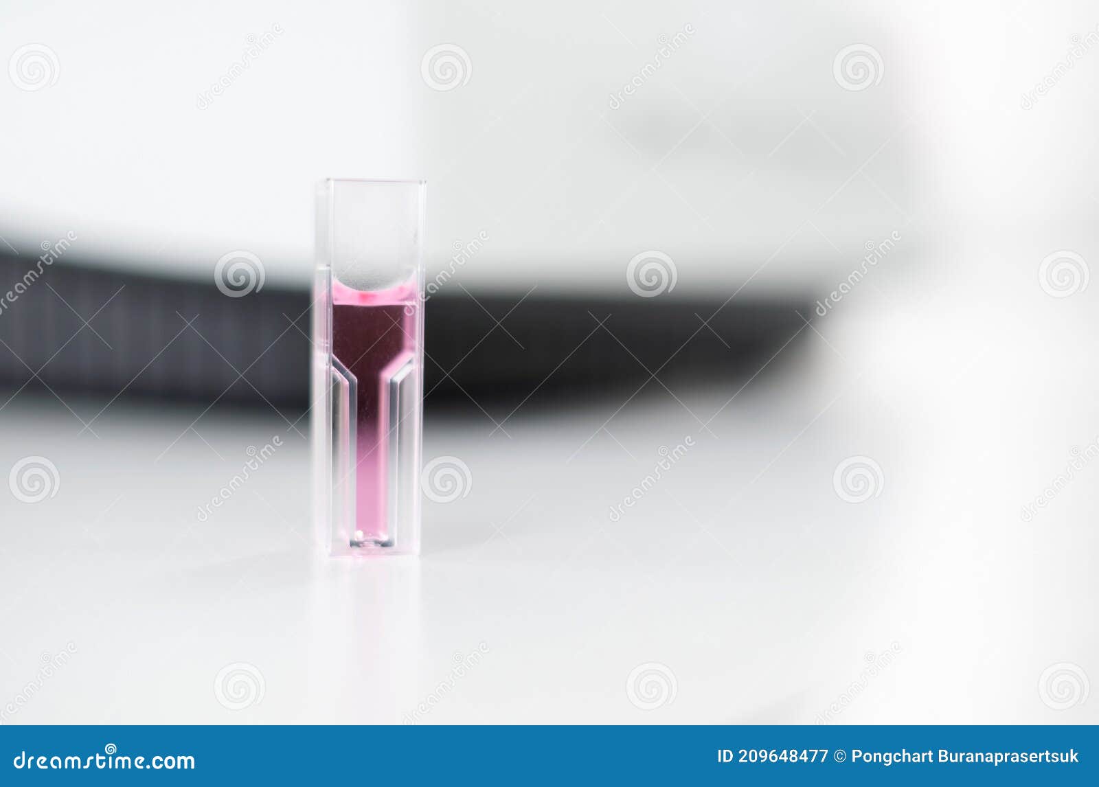 Plastic Cuvette Contains a Pink Solution Sample on the Table with Copy ...