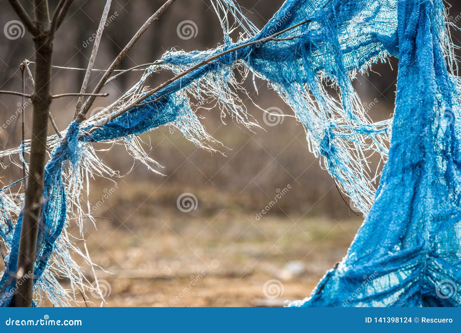 Plastic Debris in a Bush Blowing in the Wind Stock Photo - Image of ...