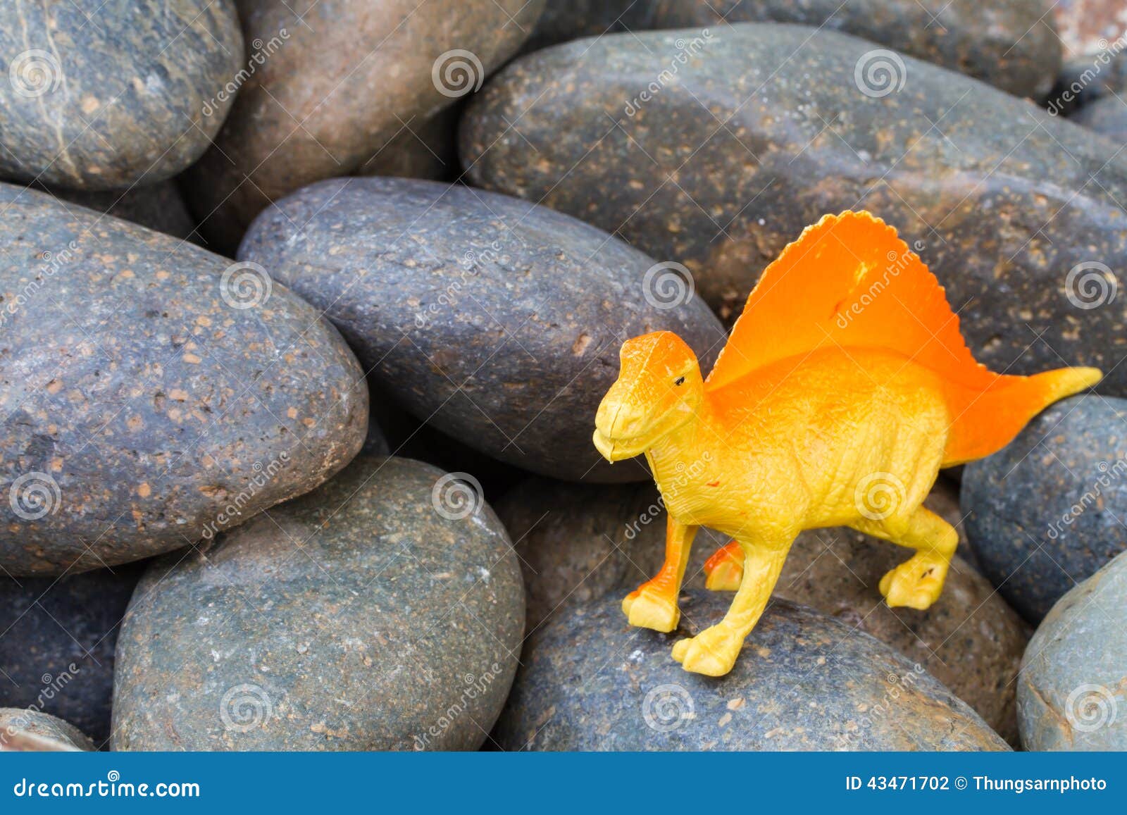 Plastic Dinosaur Pebble Stone Stock Photos - Free & Royalty-Free Stock ...