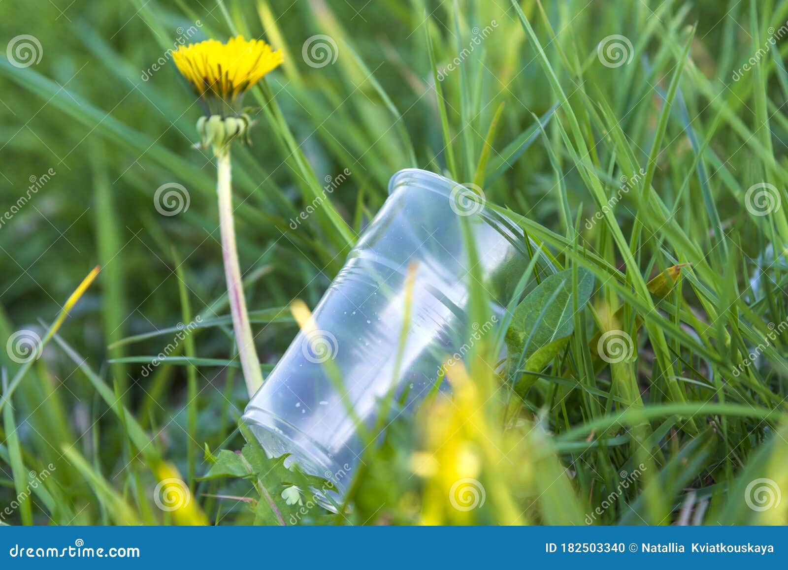 A Plastic Disposable Cup Was Thrown into the Grass. Pollution of Nature ...