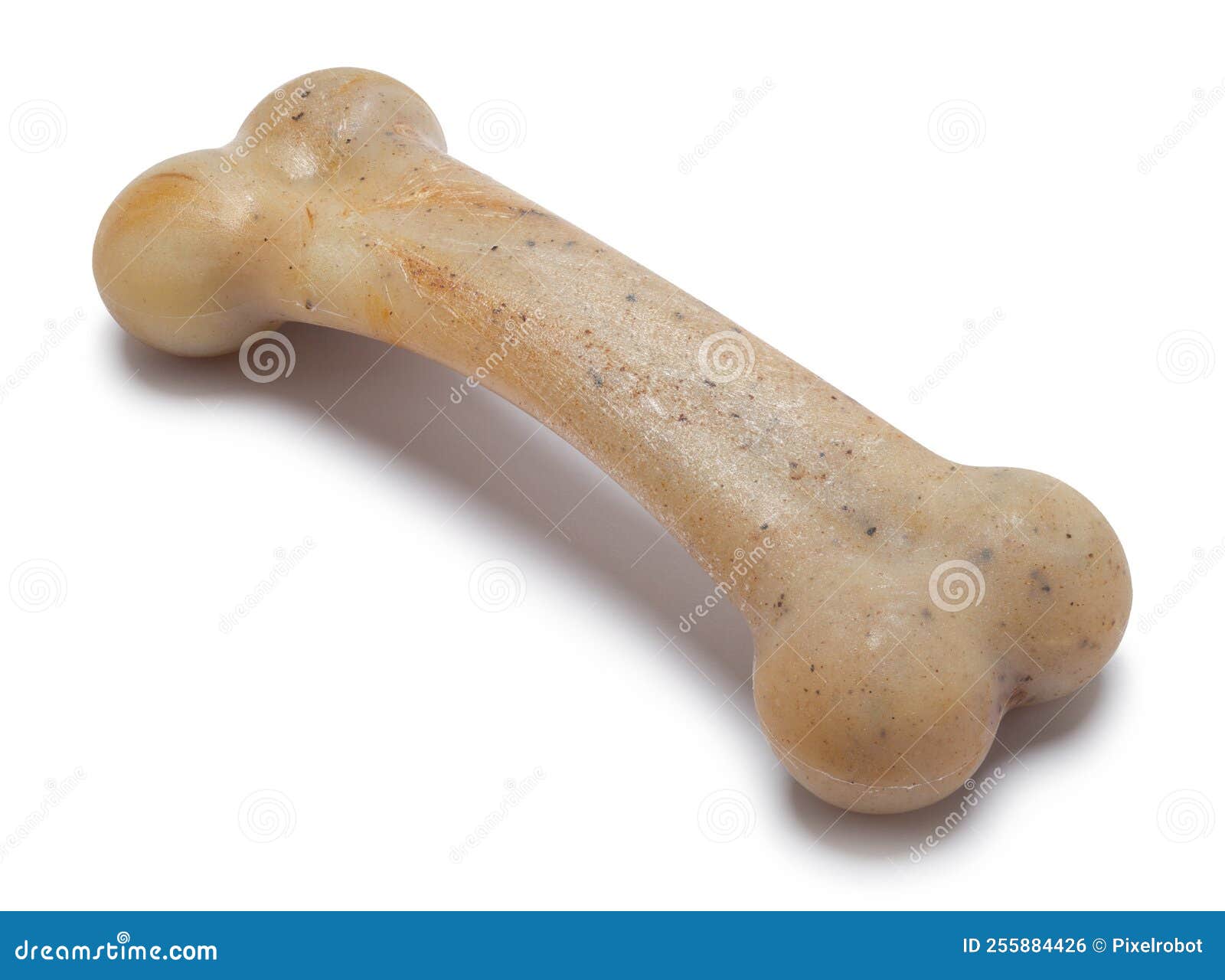Plastic Dog Bone stock photo. Image of bone, white, chew - 255884426