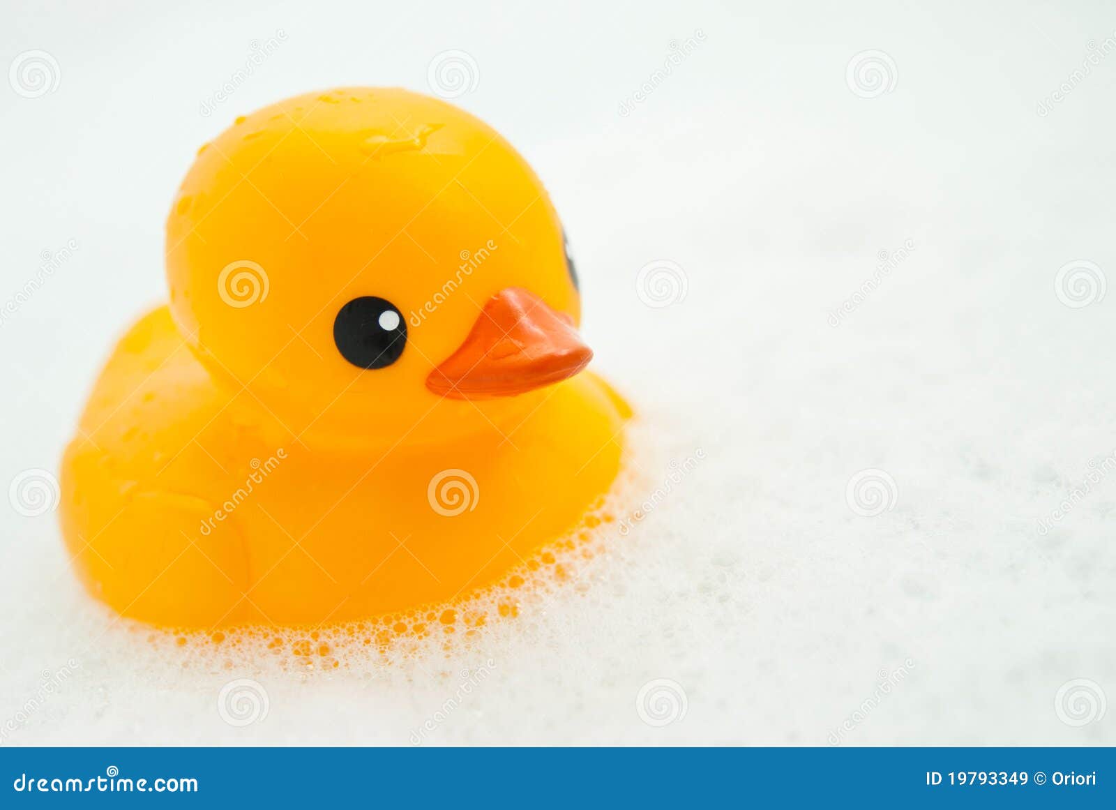 Plastic duck on foam stock image. Image of play, beak - 19793349