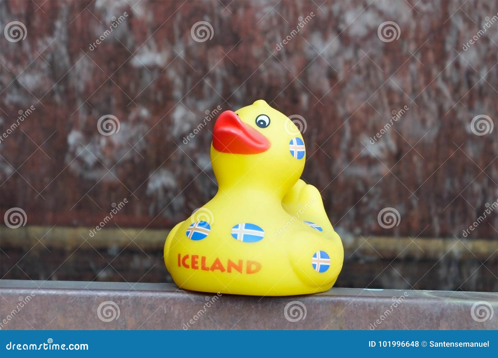 Plastic Duck stock photo. Image of baby, duck, background - 101996648