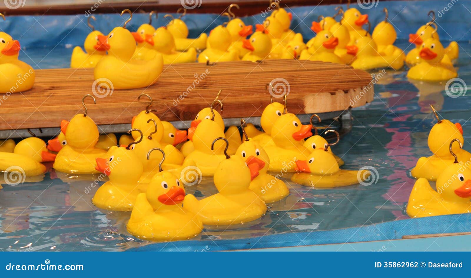Plastic Ducks. stock photo. Image of enjoy, lights, bright - 35862962