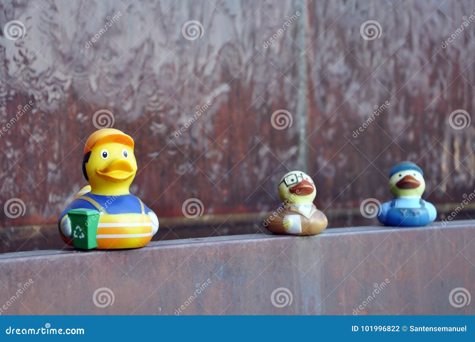 Plastic Ducks stock photo. Image of cute, kids, play - 101996822