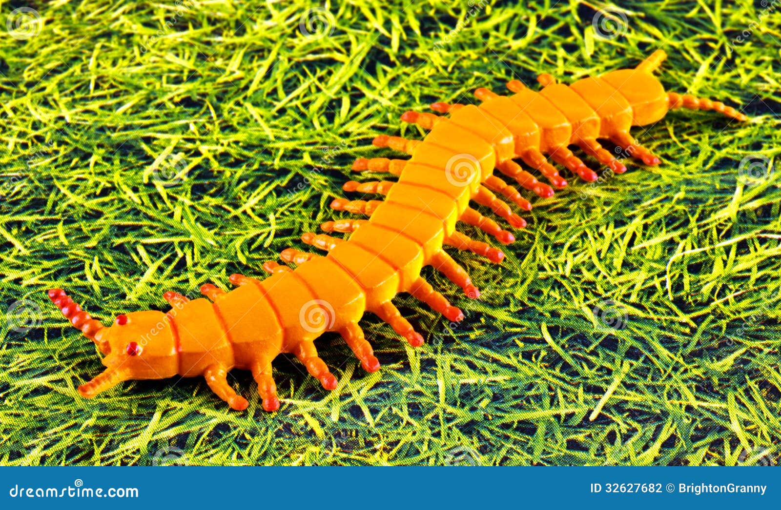 Plastic duizendpoot stock foto. Image of velen, nave - 32627682