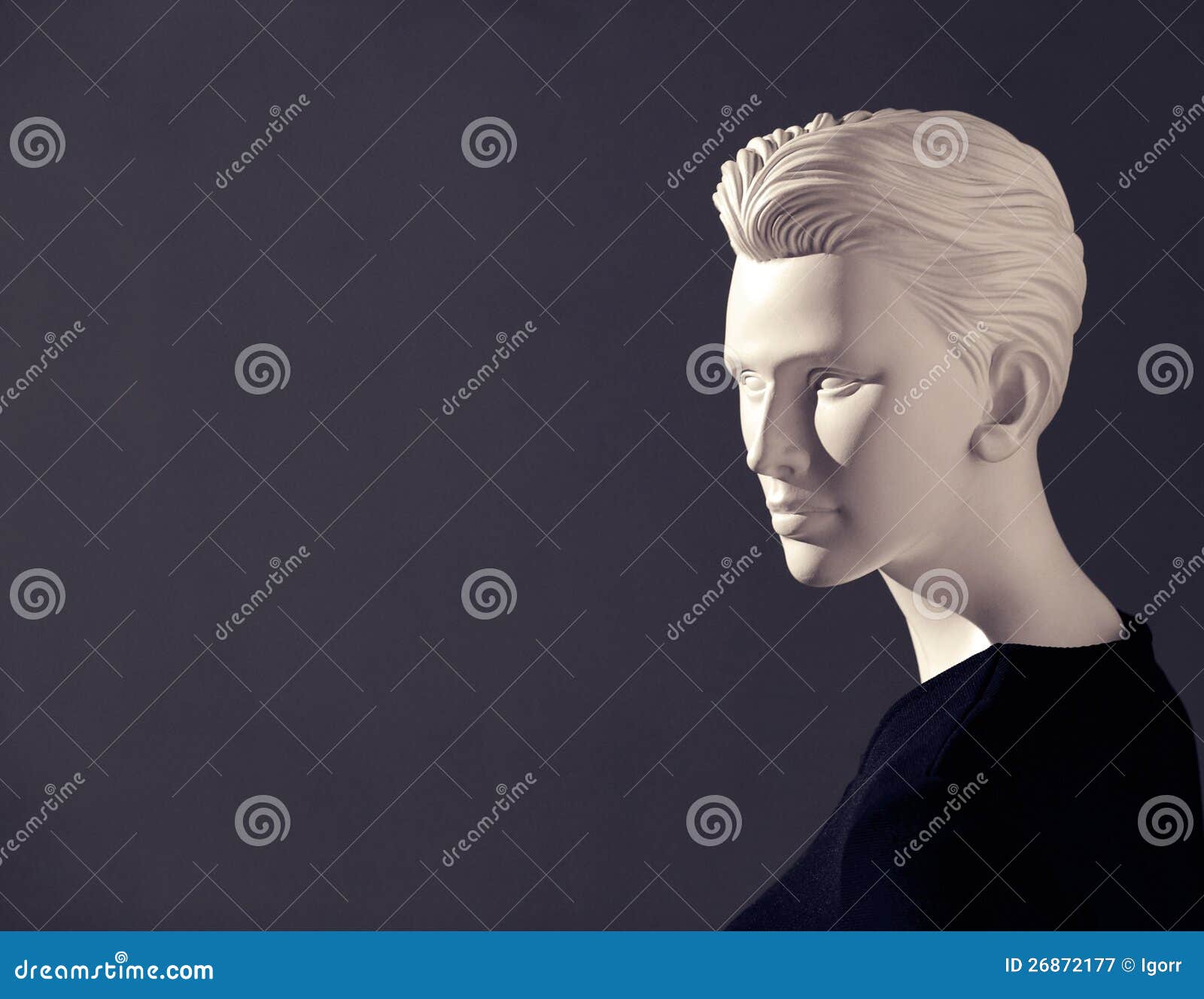 Plastic dummy stock image. Image of portrait, industry - 26872177