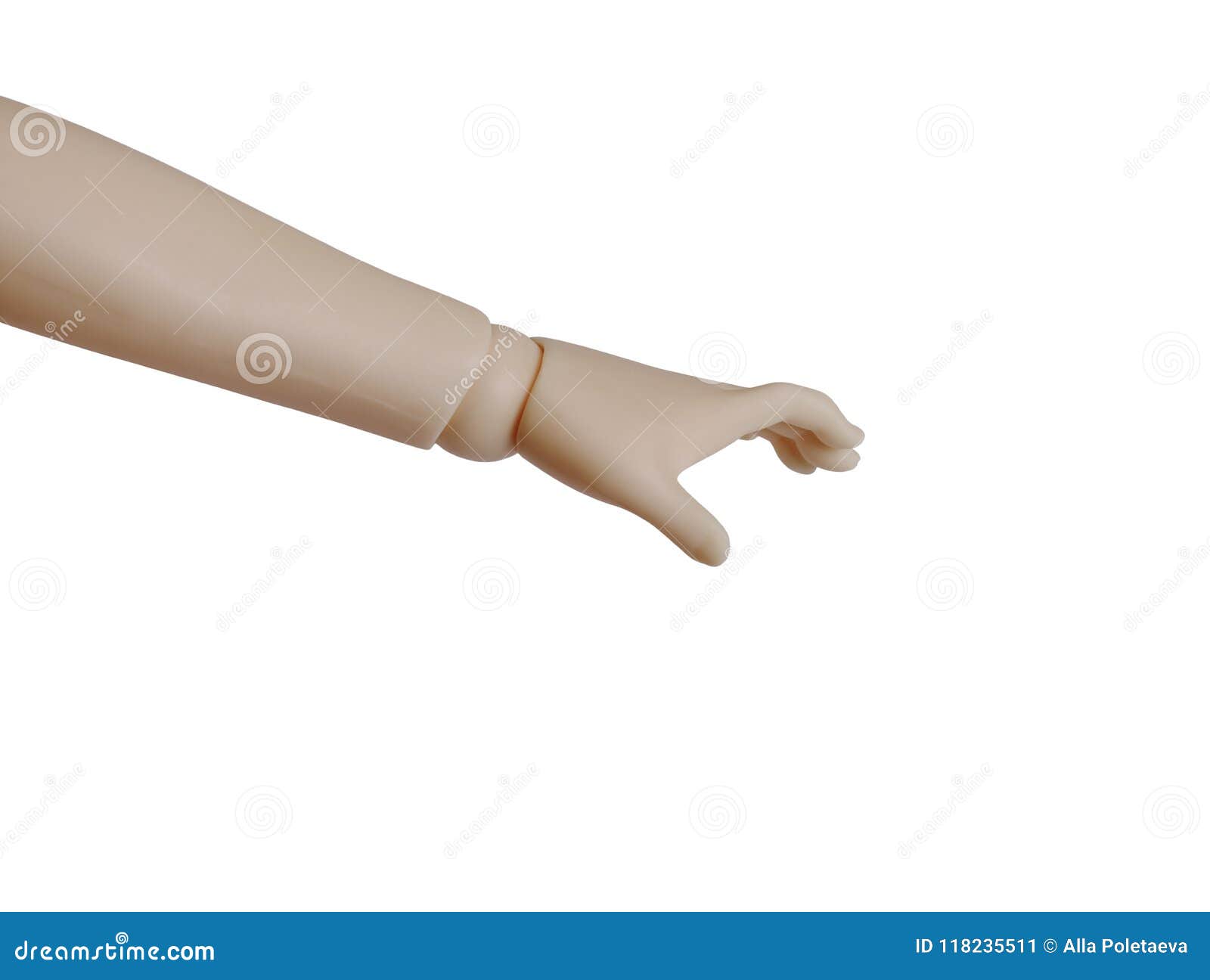 Plastic Man Dummy With Internal Organs On A White Background. Teaching ...