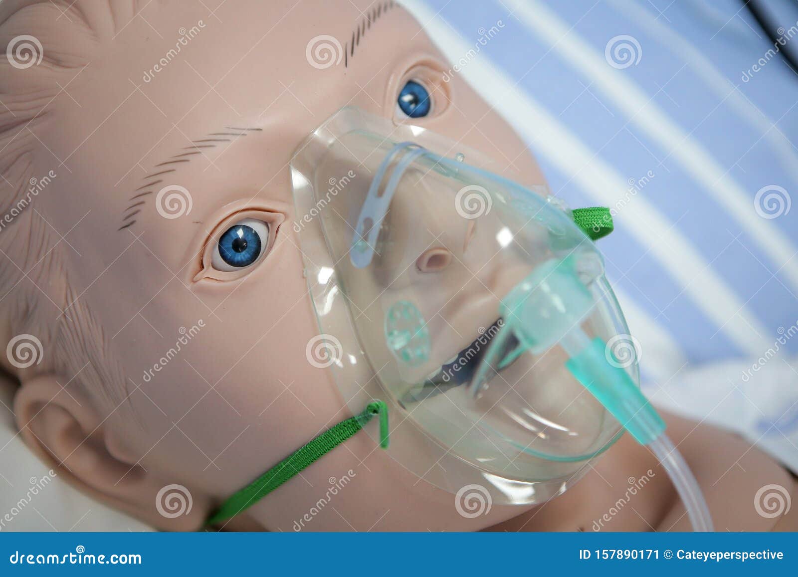 Plastic Man Dummy With Internal Organs On A White Background. Teaching ...