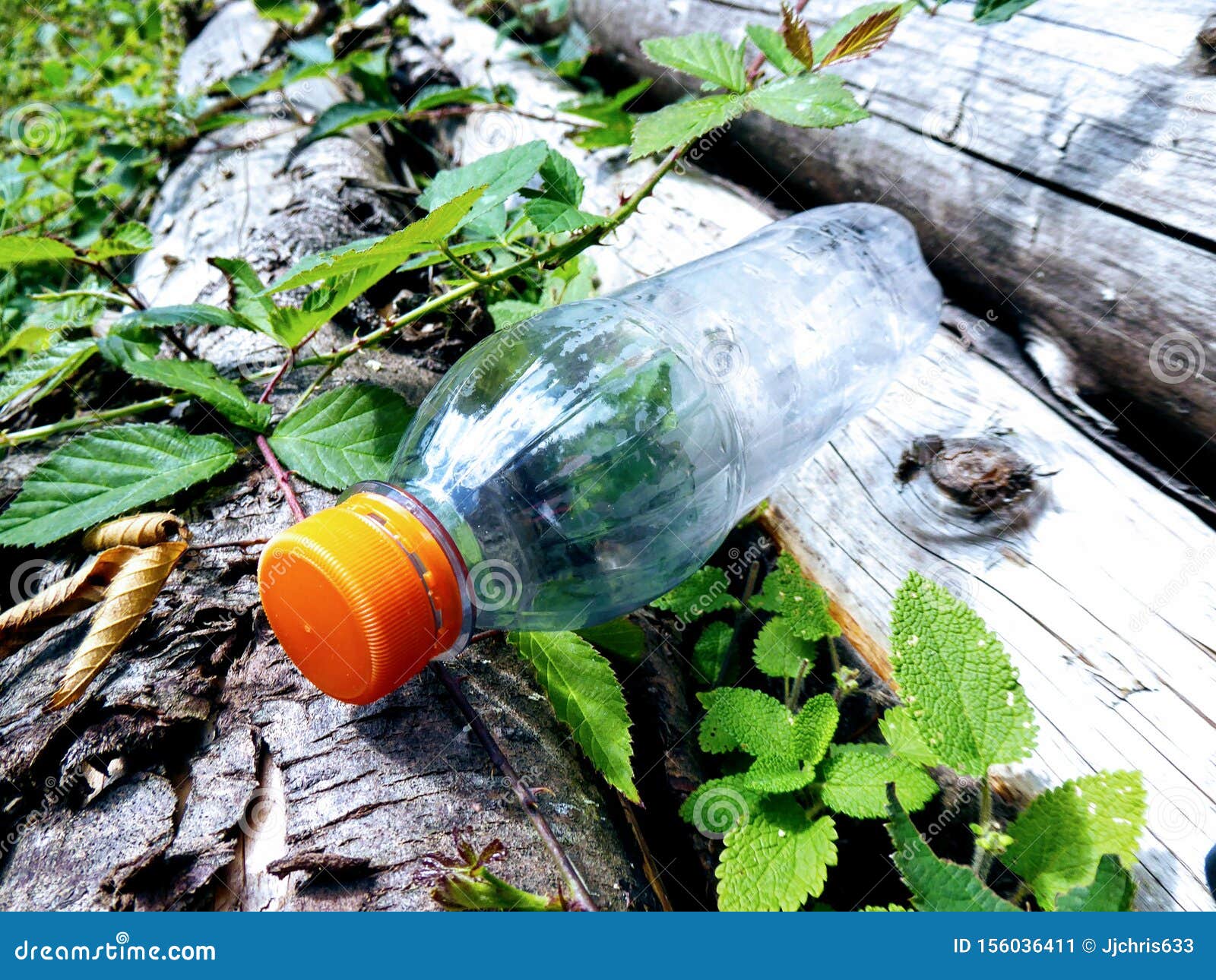 Plastic Empty Bottle Litter on Forest Logs in Nature, Plastic Trash ...