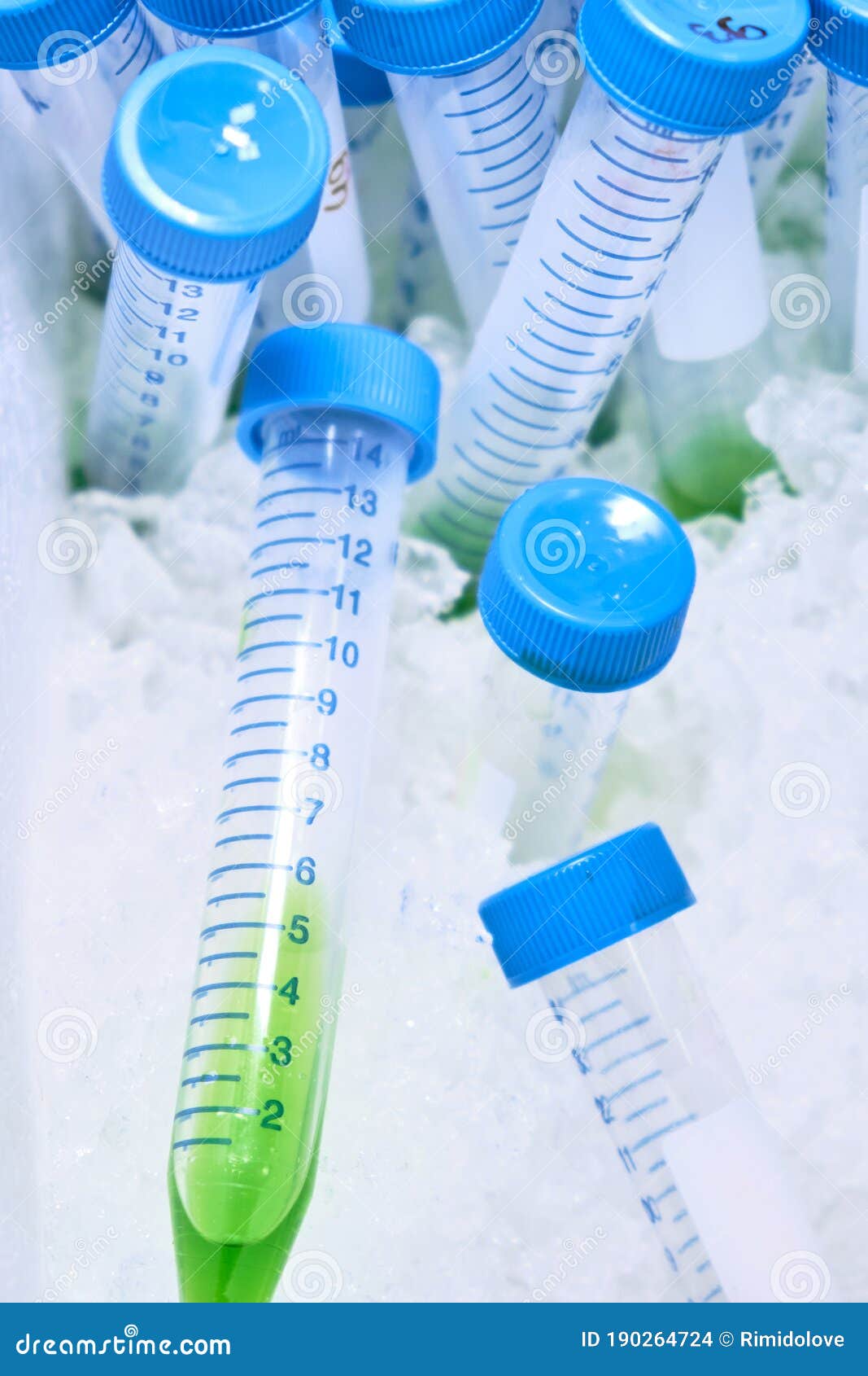 Plastic Falcone Test Tubes With Green Liquid Keep In The Ice. Sample ...
