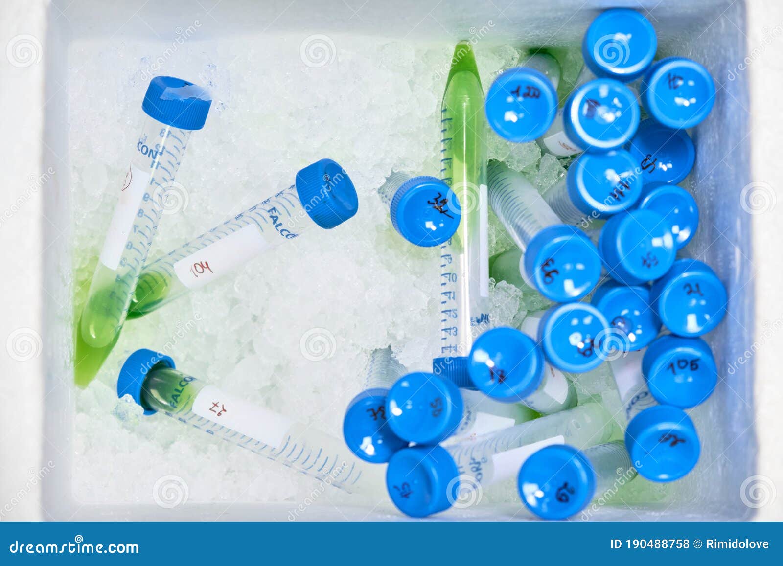 Plastic Falcone Test Tubes With Green Liquid Keep In The Ice. Sample ...