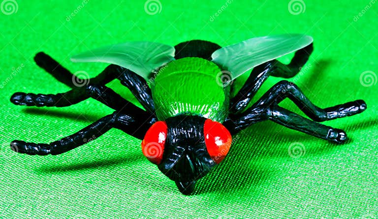 Plastic toy fly. stock image. Image of closeup, painted - 23890333