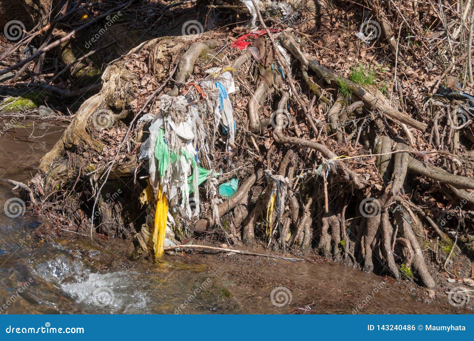 Plastic and Foam Garbage Floating on the Surface of the River Stock ...
