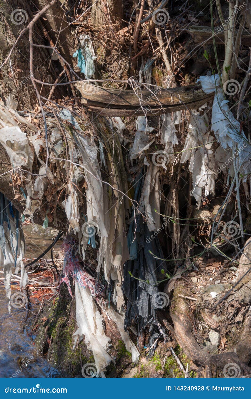 Plastic and Foam Garbage Floating on the Surface of the River Stock ...