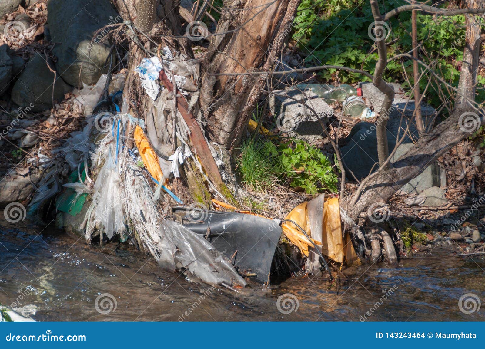 Plastic and Foam Garbage Floating on the Surface of the River Stock ...