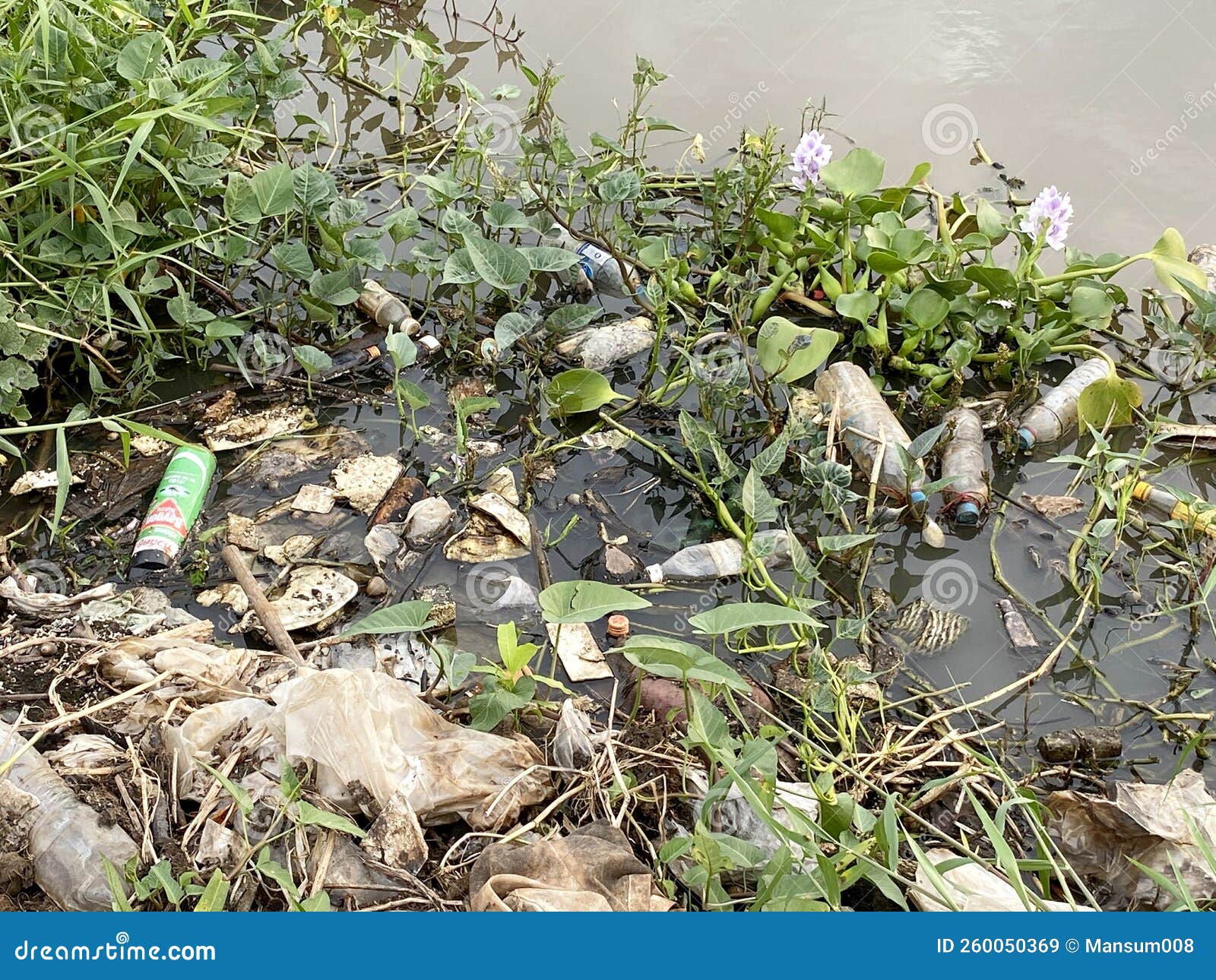 Plastic Garbage on the Beach in the City Editorial Stock Image - Image ...