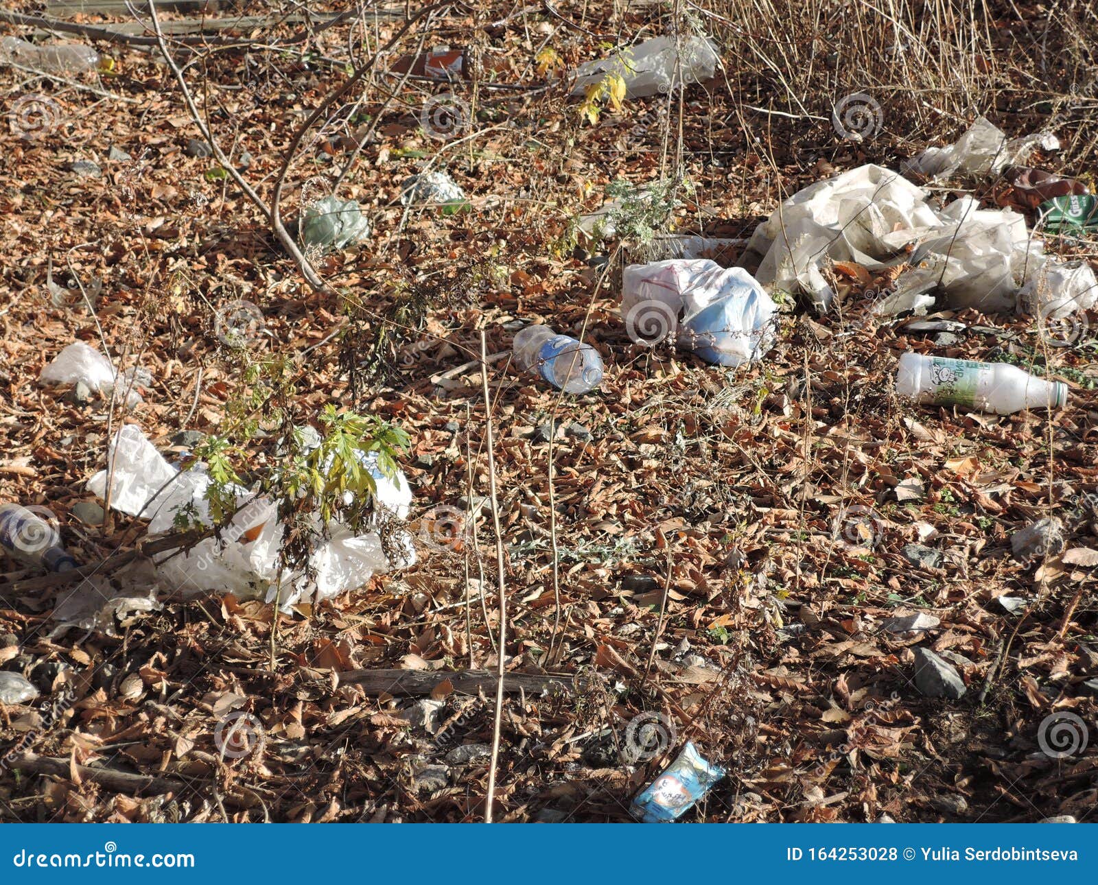 Plastic Garbage Dump in Nature. Russia, Saratov - November, 2019 ...