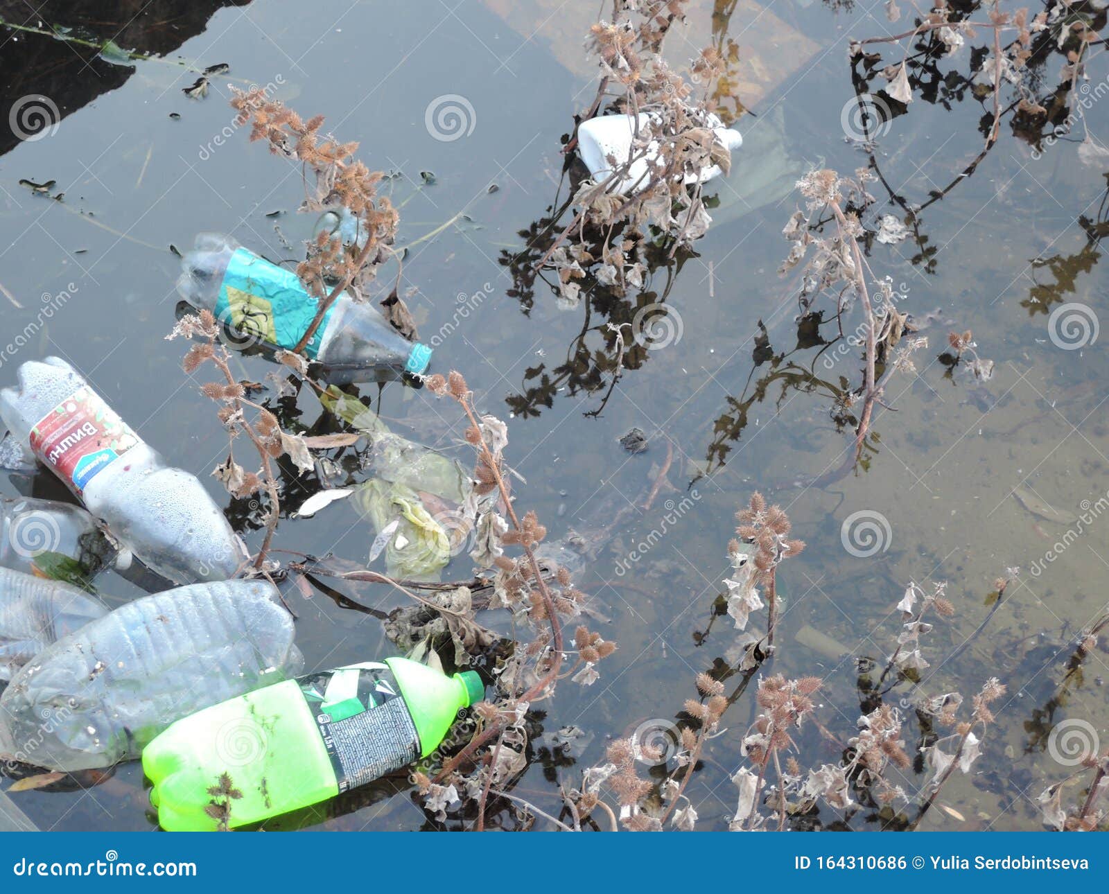 Plastic Garbage Dump in the Pond. Russia, Saratov-November 2019 ...