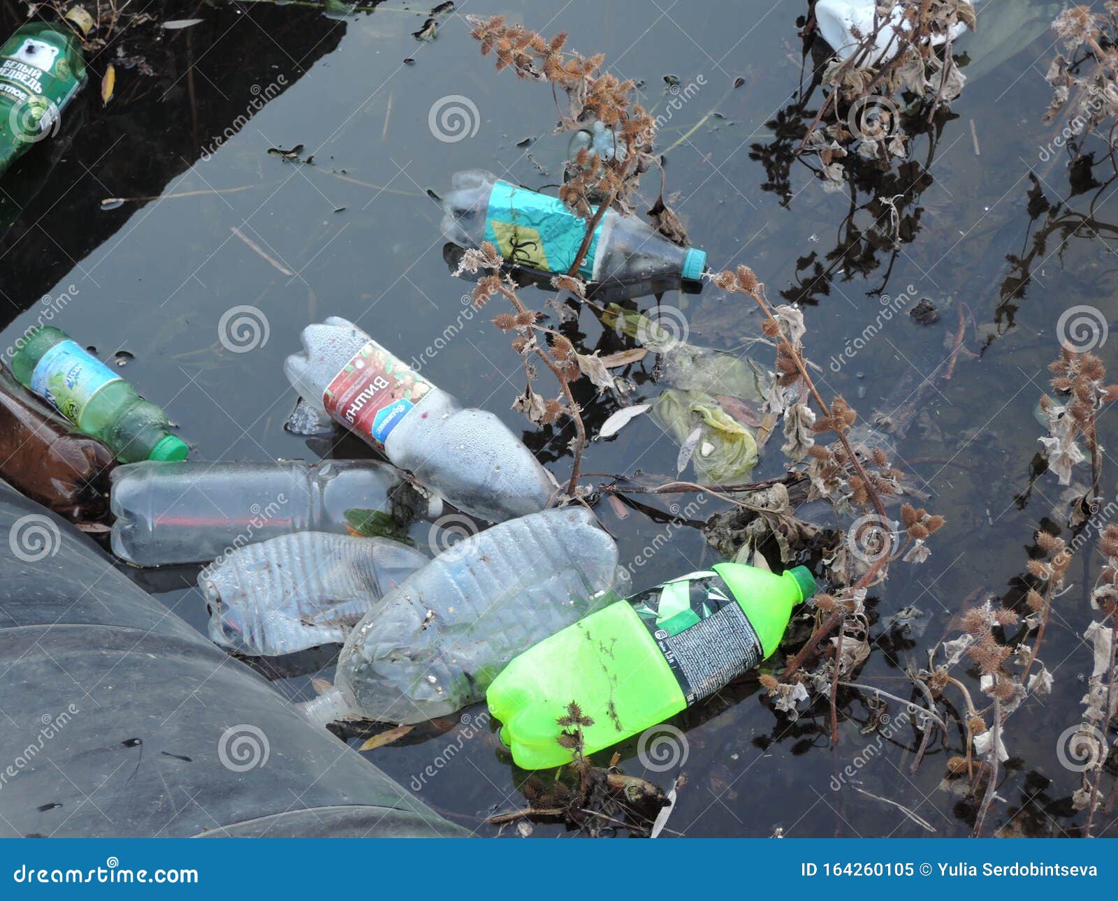 Plastic Garbage Dump in the Pond. Russia, Saratov-November 2019 ...