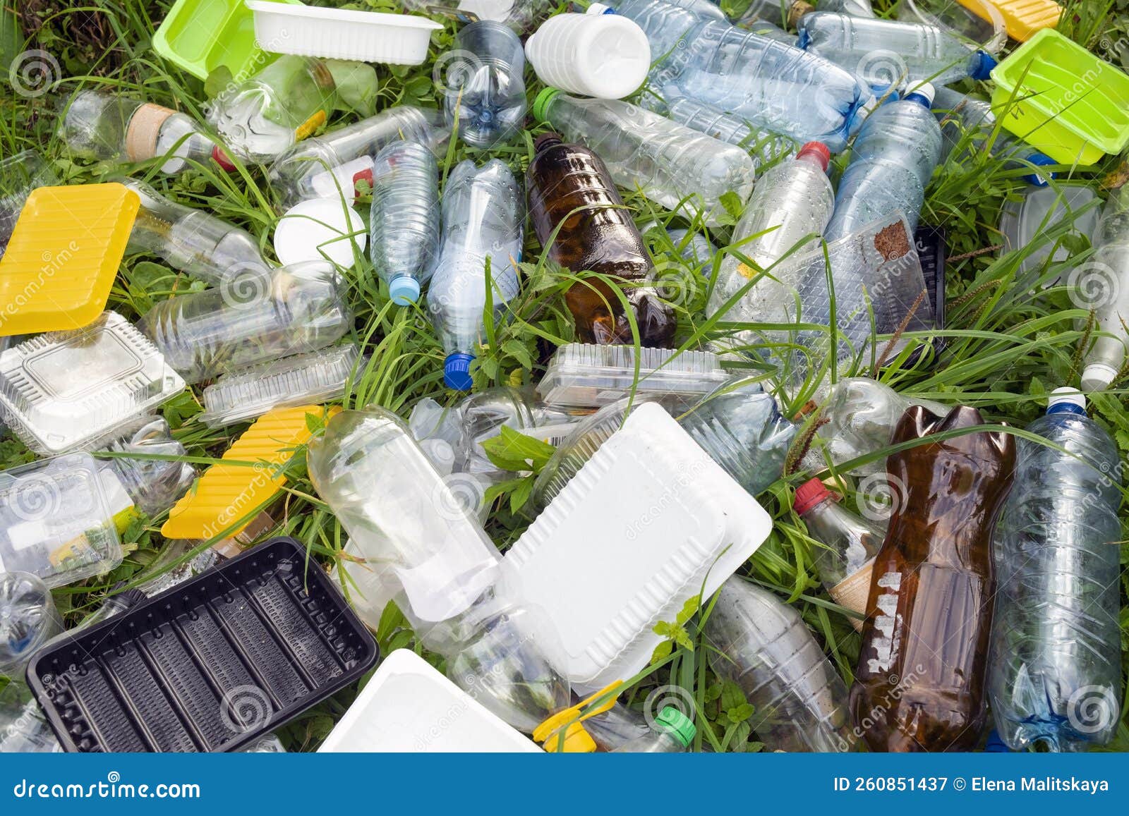 Plastic Garbage in the Forest among the Grass. Bottles, Disposable ...