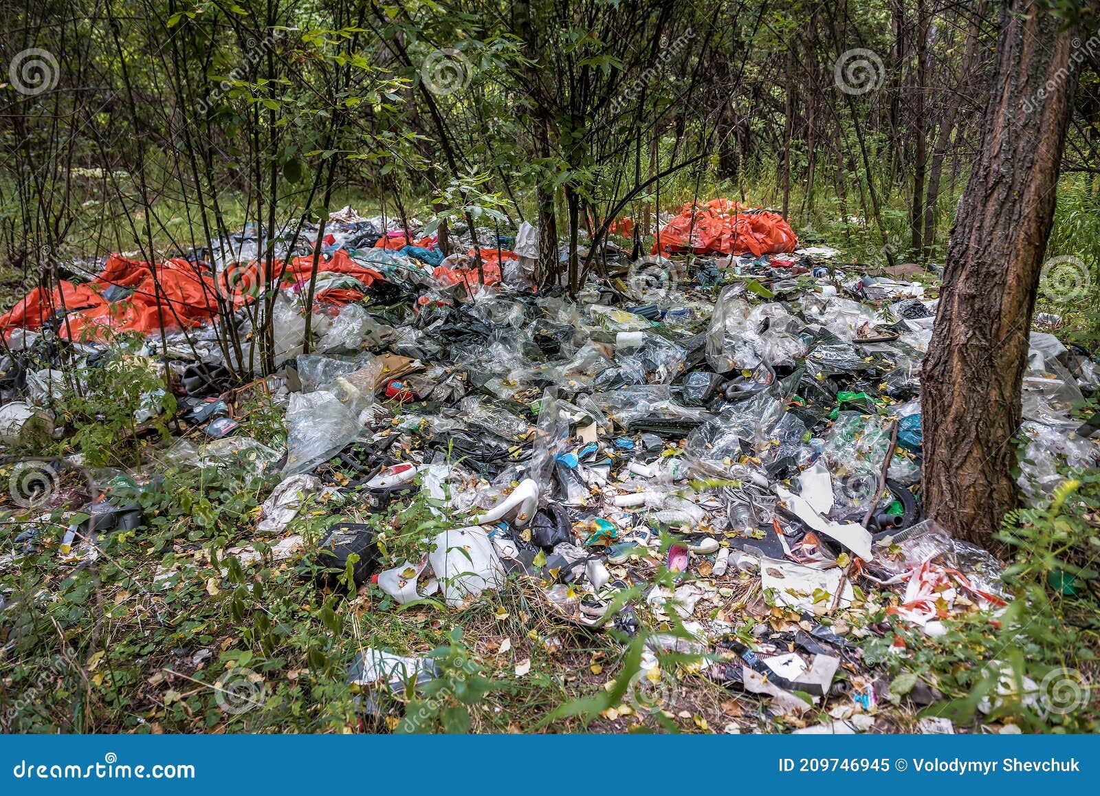 Plastic Garbage in Green Forest Stock Image - Image of dirty, danger ...